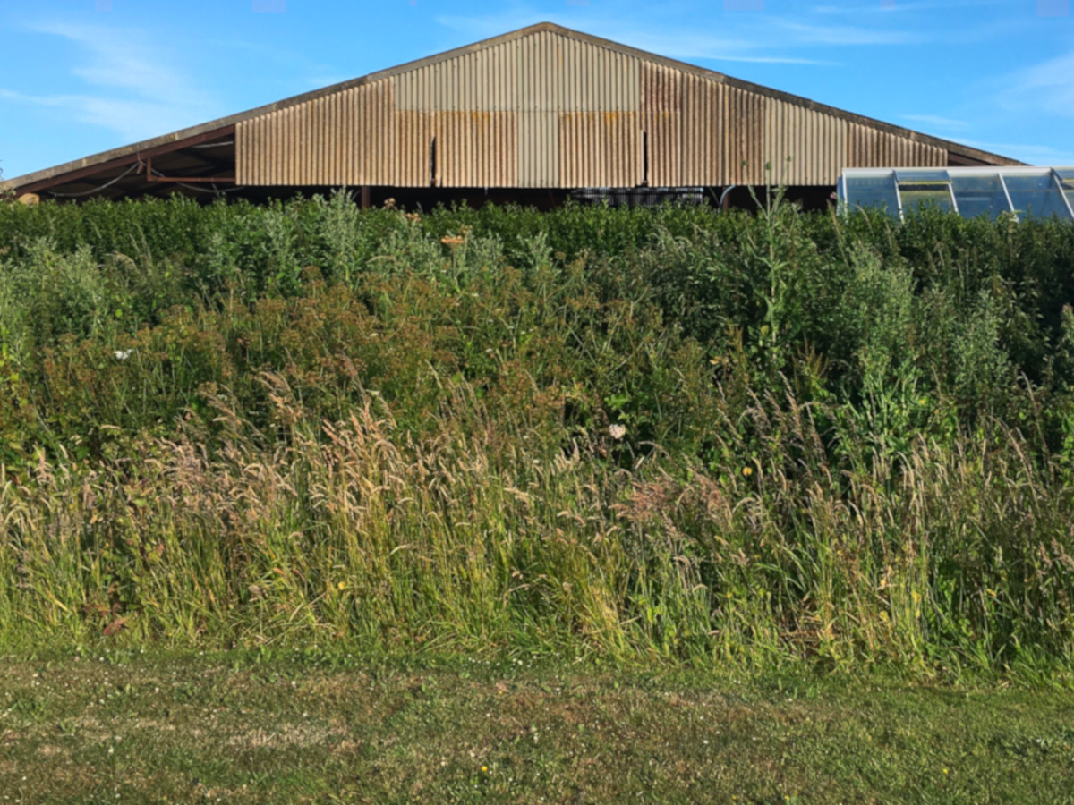 How to Choose the Right Barn Conversion Architect - David Nossiter ...